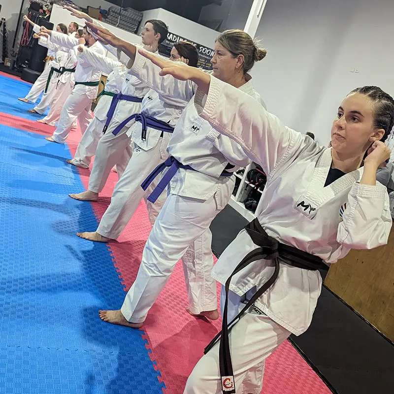 Adult Martial Arts Classes | My Martial Arts